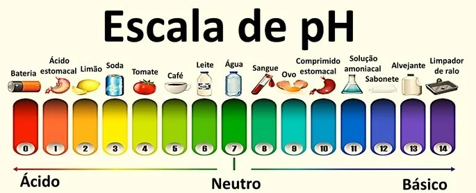 ácidos E Bases Segundo A Teoria Bronsted Lowry E Escala De Ph